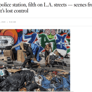 VDARE.com news - America's Immigration Voice.